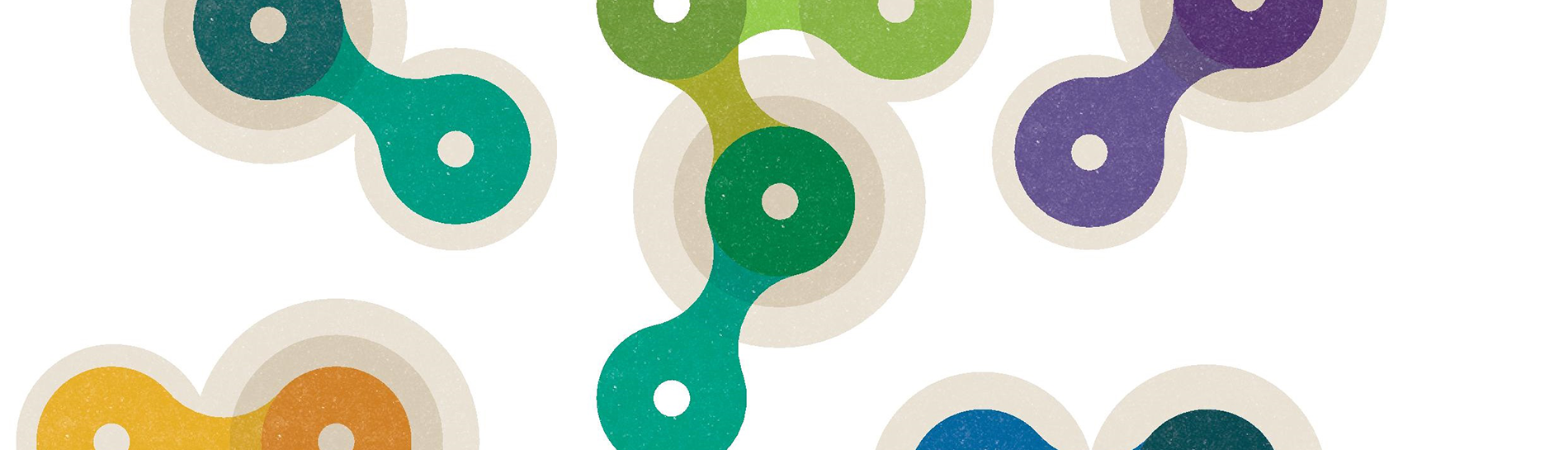 Making Devolution Work