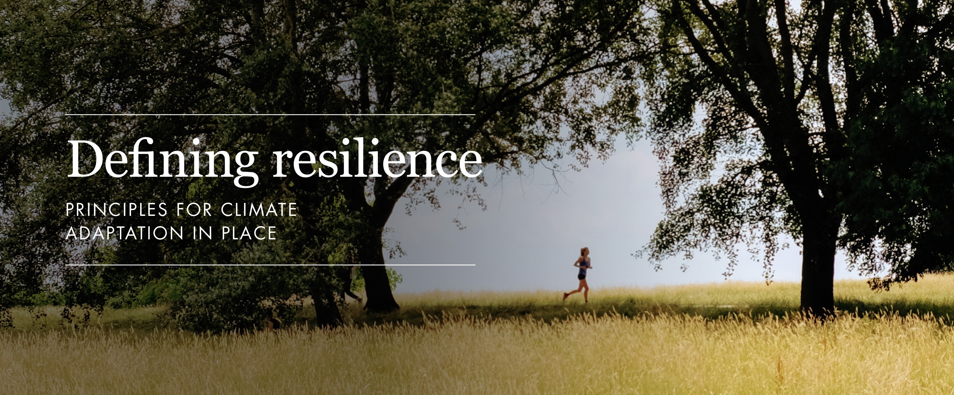 Defining Resilience - Localis